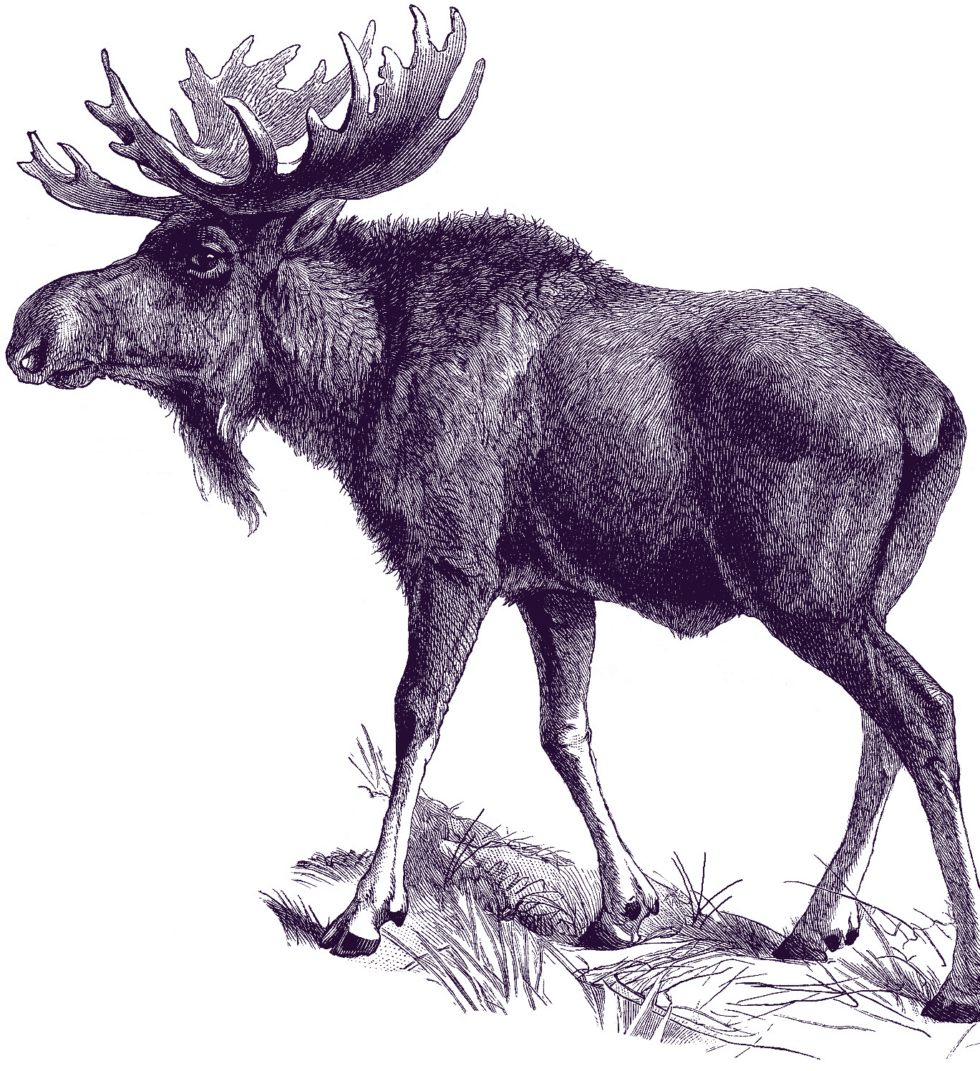 Home - Wheeler River Project